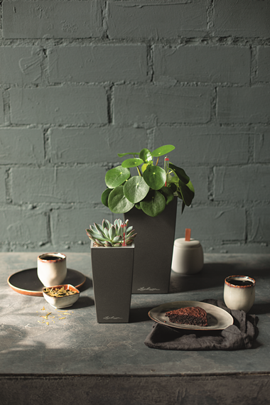 Mini Cubi og Maxi Cubi